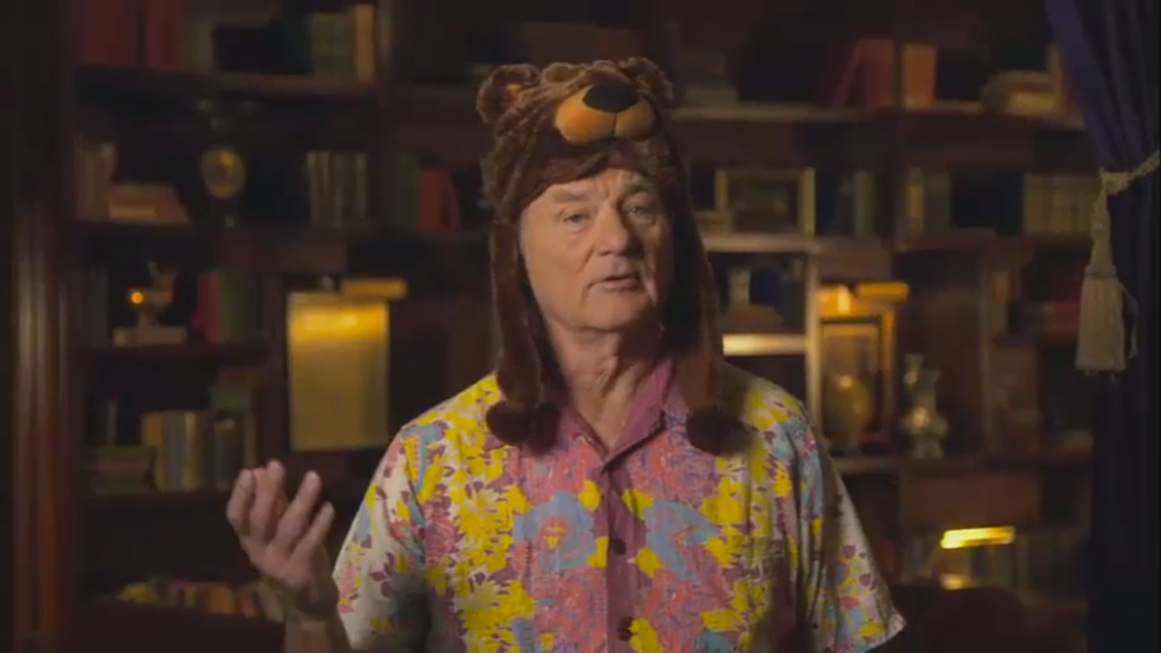 Bill Murray Introduces A NFL Game | lifewithoutandy