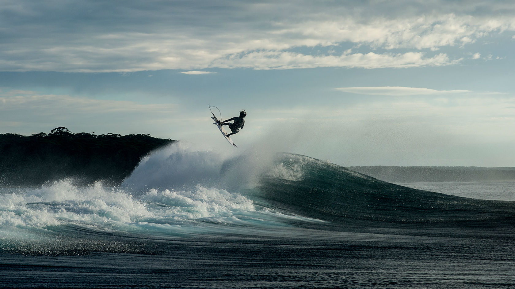 Steve Wall | lifewithoutandy