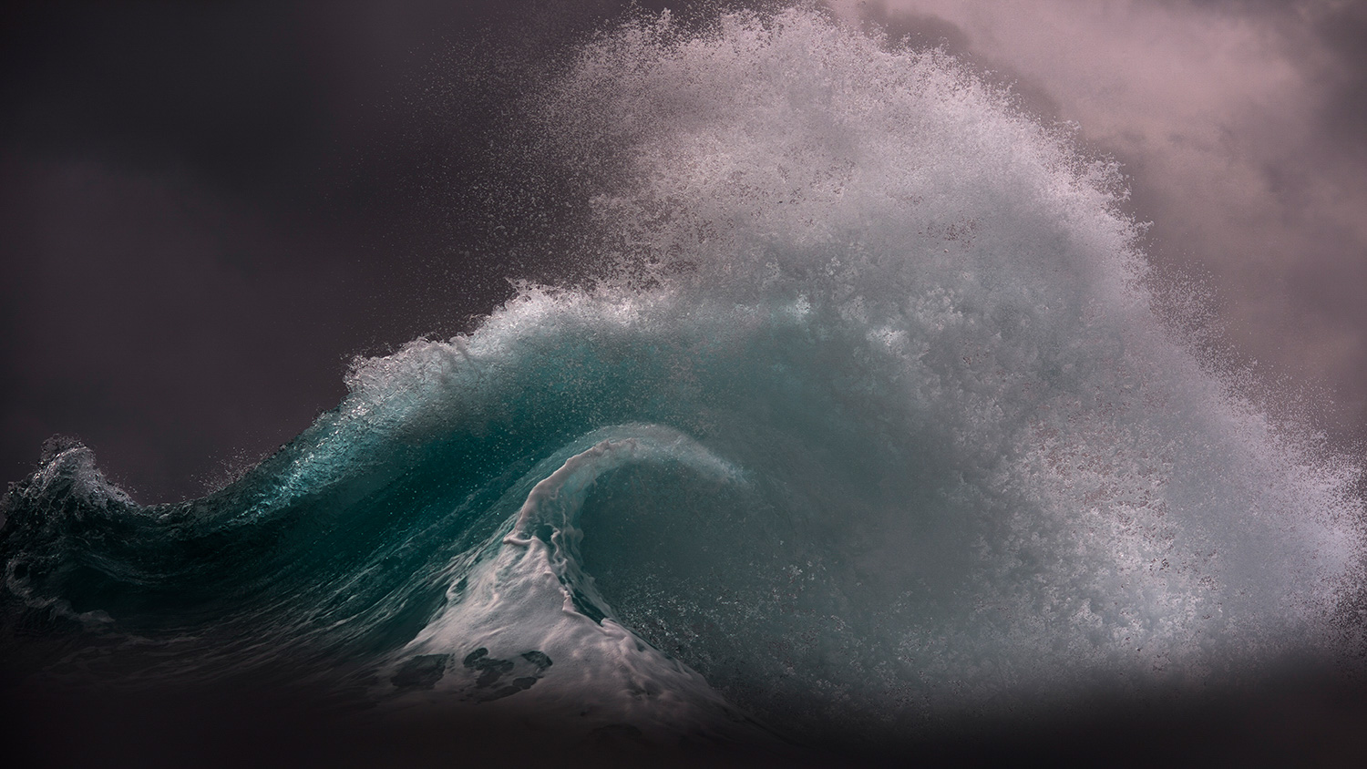 Ray Collins | lifewithoutandy