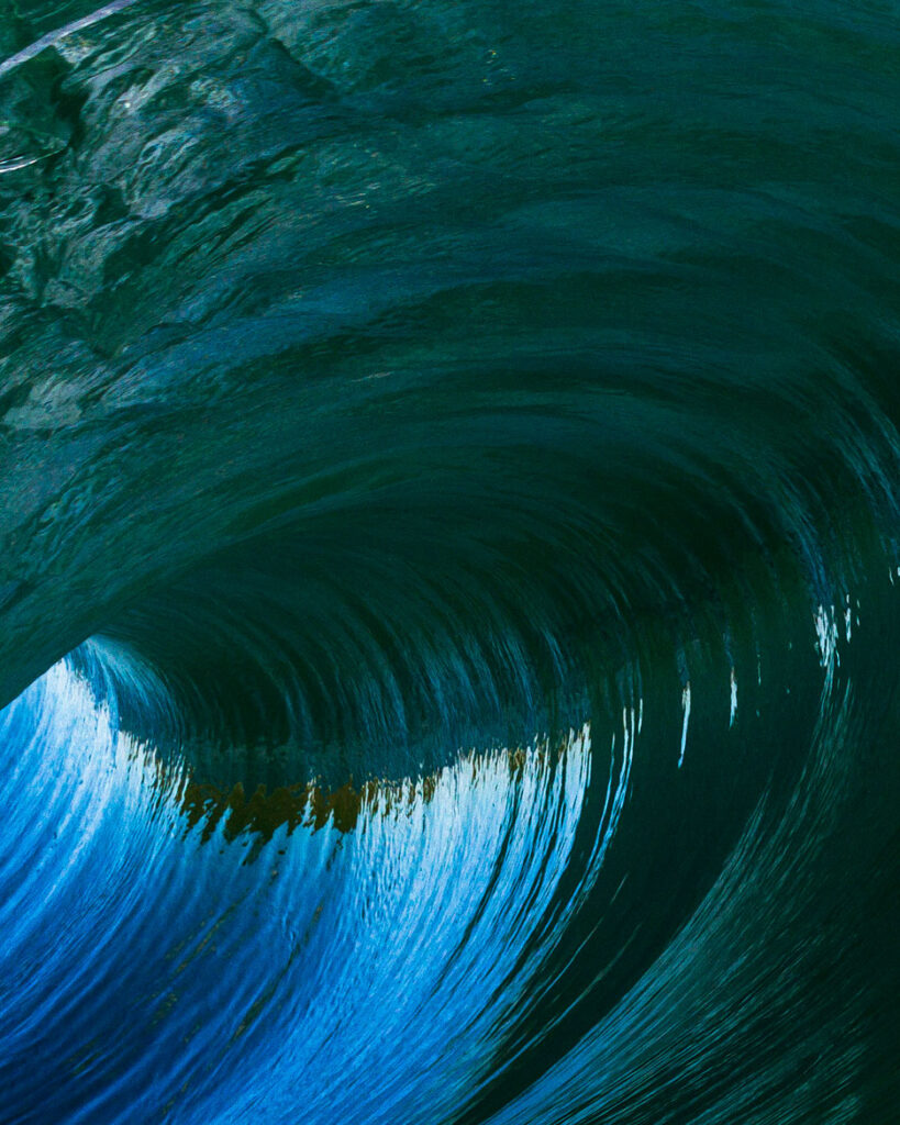 Reed Plummer | lifewithoutandy