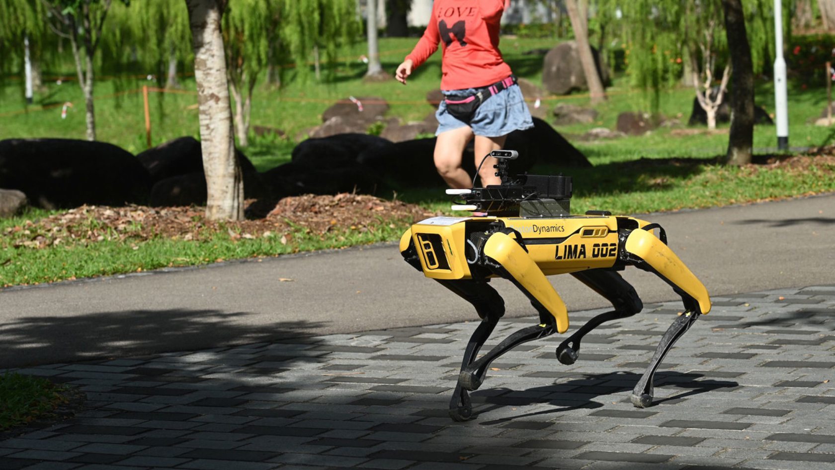 Watch: Singapore Is Using Robodogs To Enforce Social Distancing ...