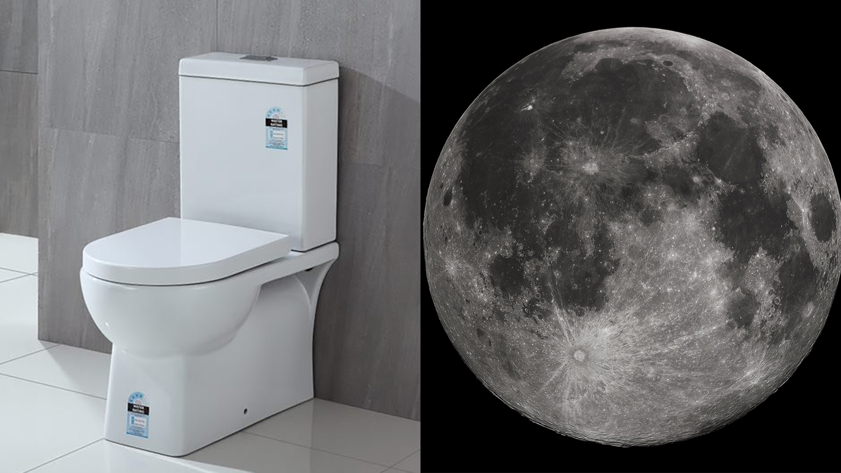 NASA Is Offering A Handsome Reward To Whoever Designs A Toilet That ...
