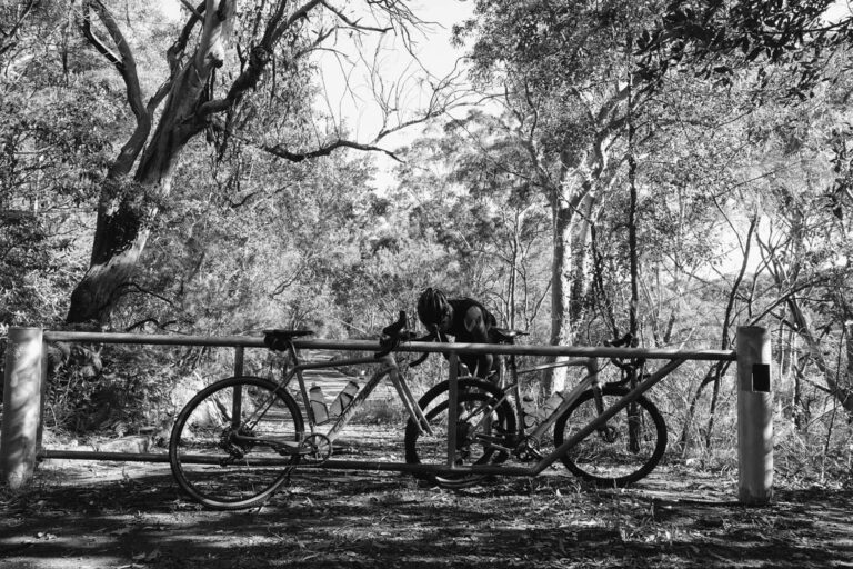 Journeys: Dan Bonello | lifewithoutandy