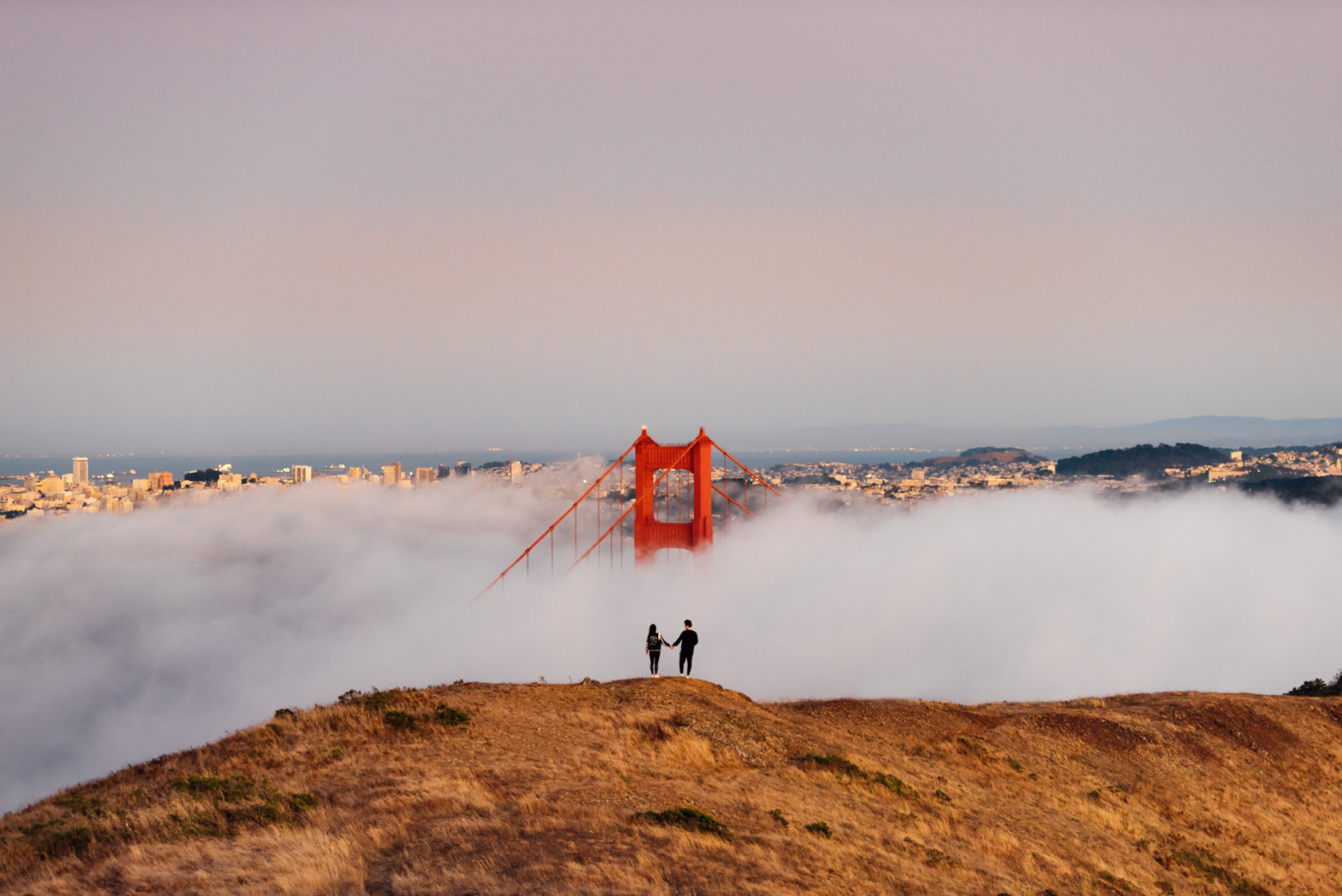 Max Depatie | lifewithoutandy