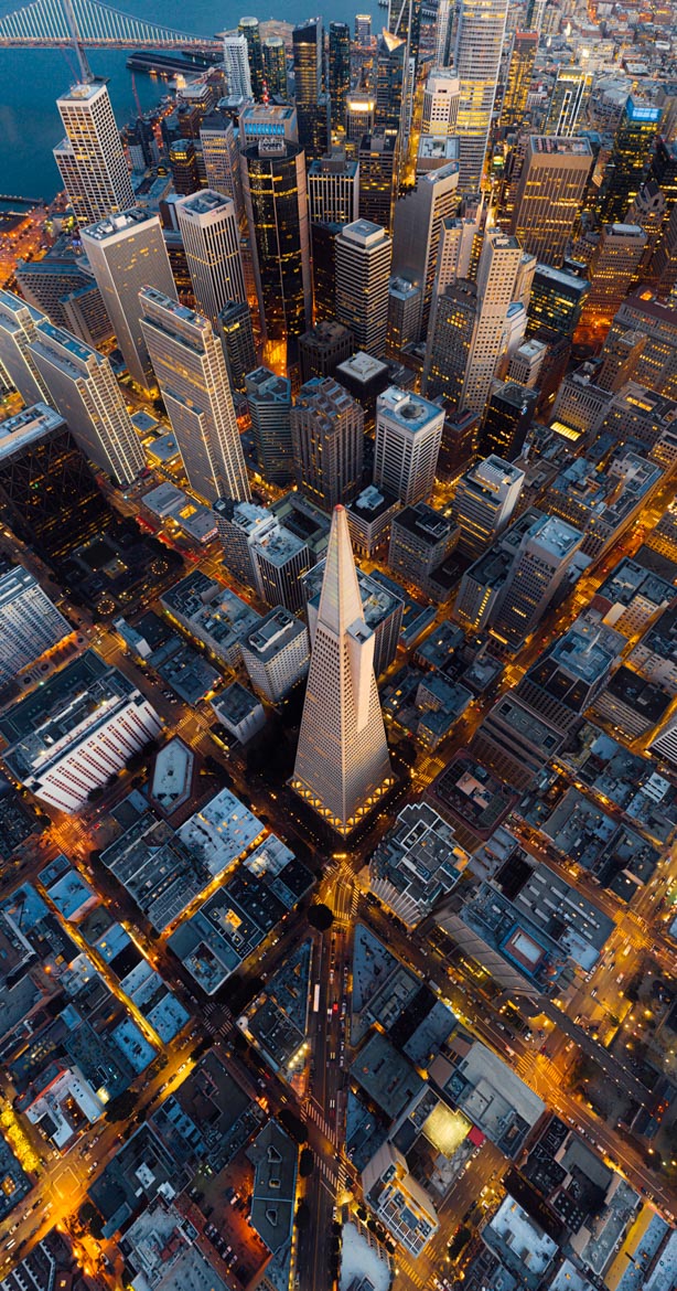 Max Depatie | lifewithoutandy