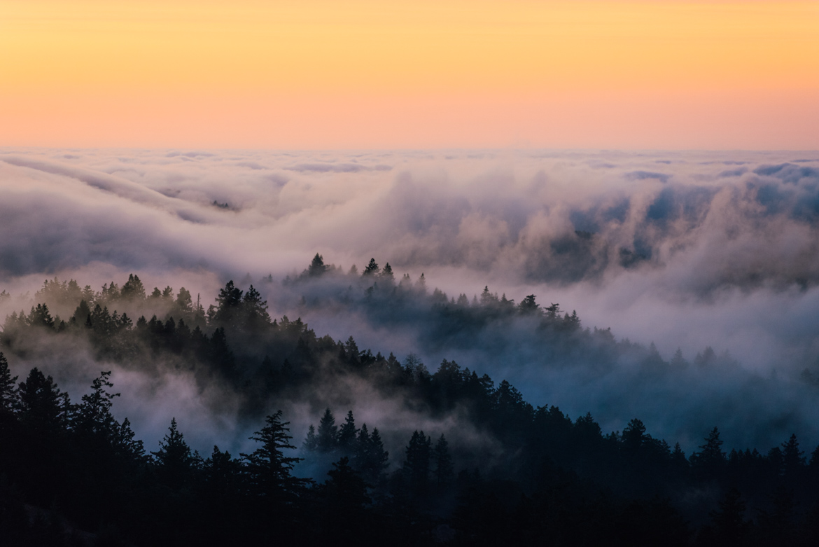 Max Depatie | lifewithoutandy