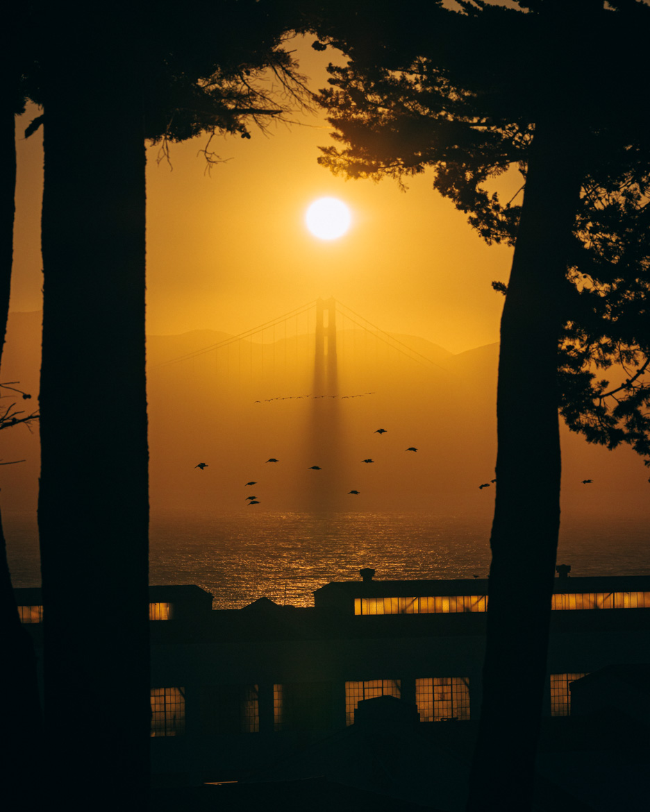 Max Depatie | lifewithoutandy