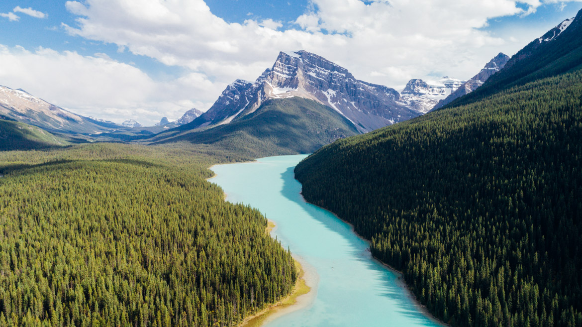 Max Depatie | lifewithoutandy