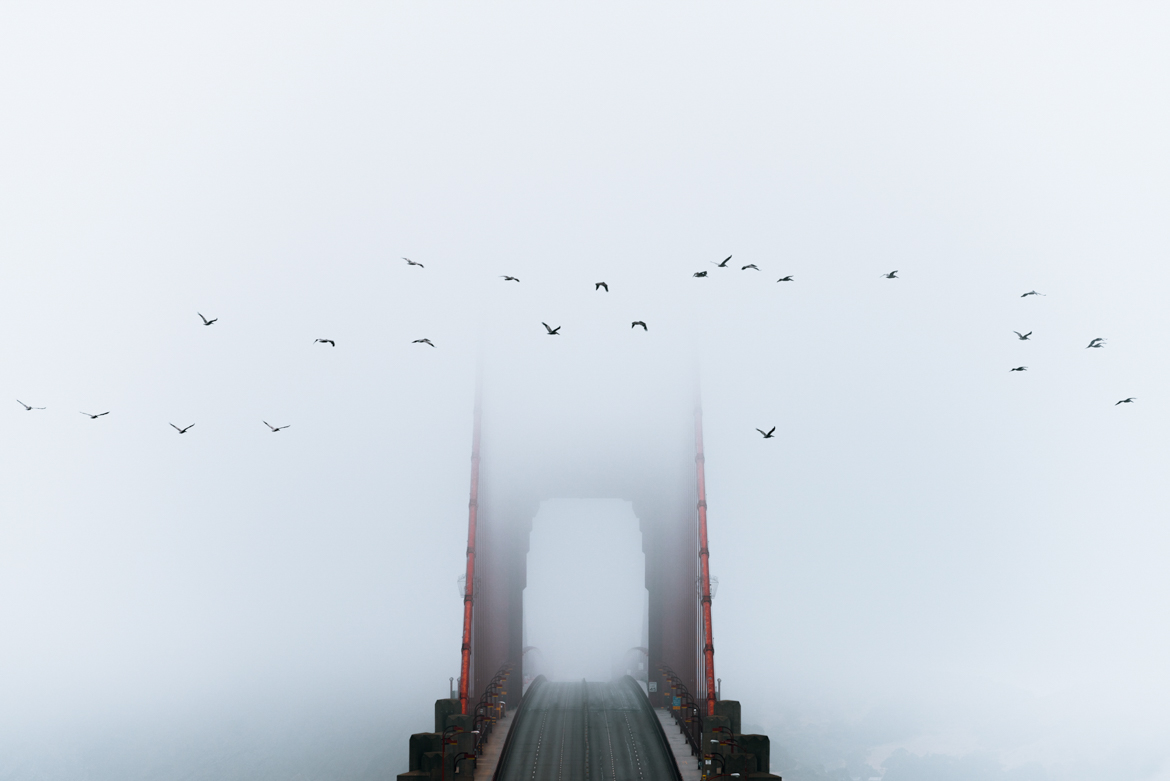 Max Depatie | lifewithoutandy