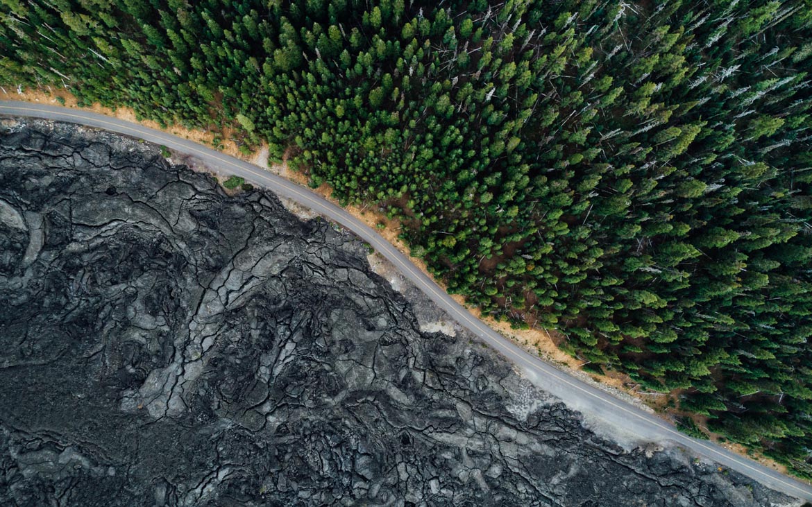 Max Depatie | lifewithoutandy