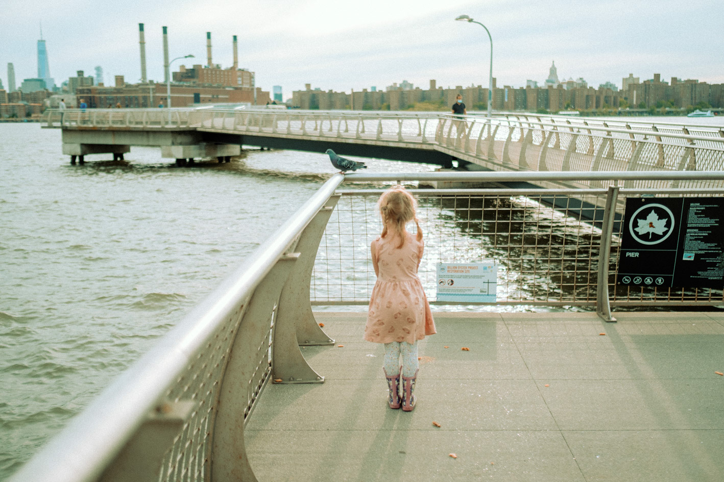 TJ Park | lifewithoutandy