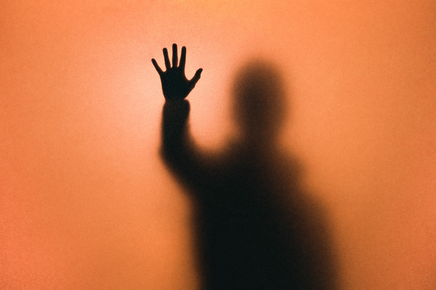 A.J. Schokora | lifewithoutandy