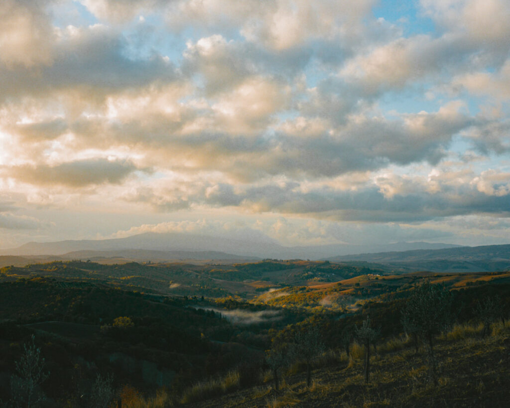 Jonathan Bach | lifewithoutandy