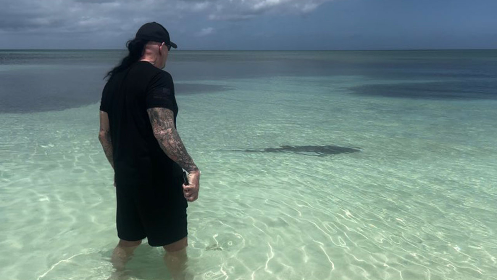 The Undertaker Got Into A Standoff With A Shark And... You Can Guess ...