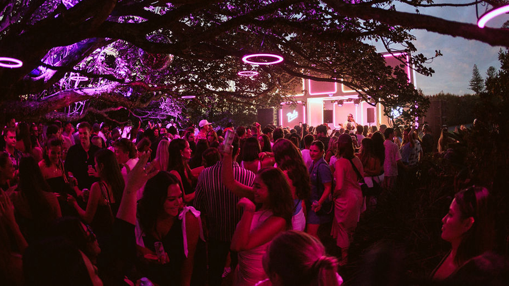 A Party With Pals @ Abbeville Estate, Auckland, NZ | lifewithoutandy